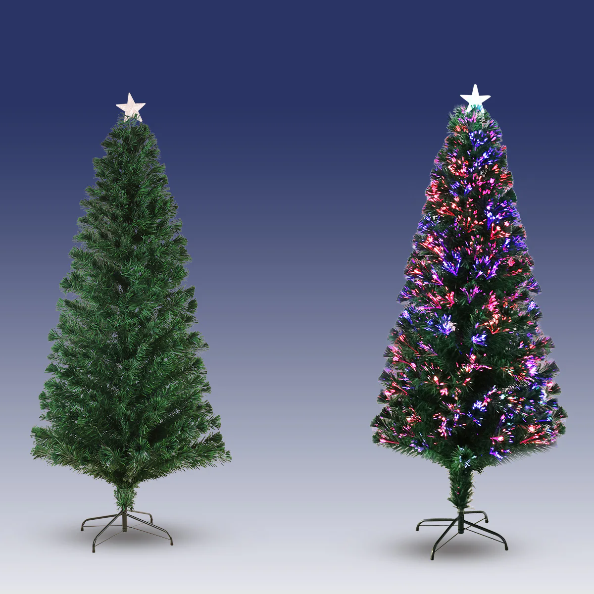 5 Tips for Choosing the Perfect Christmas Tree at TSB Living